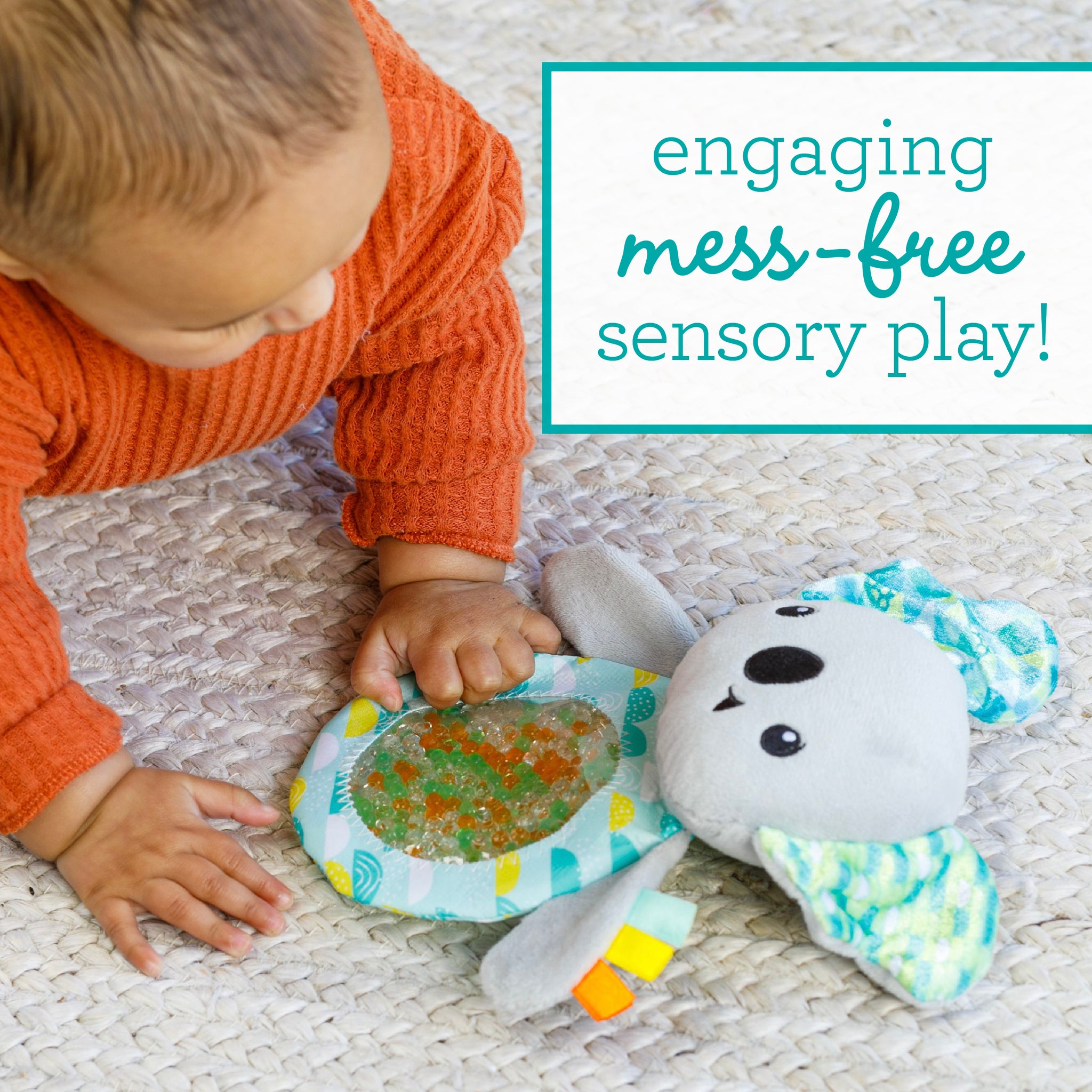 Seek & Squish Sensory Pal Koala – Infantino