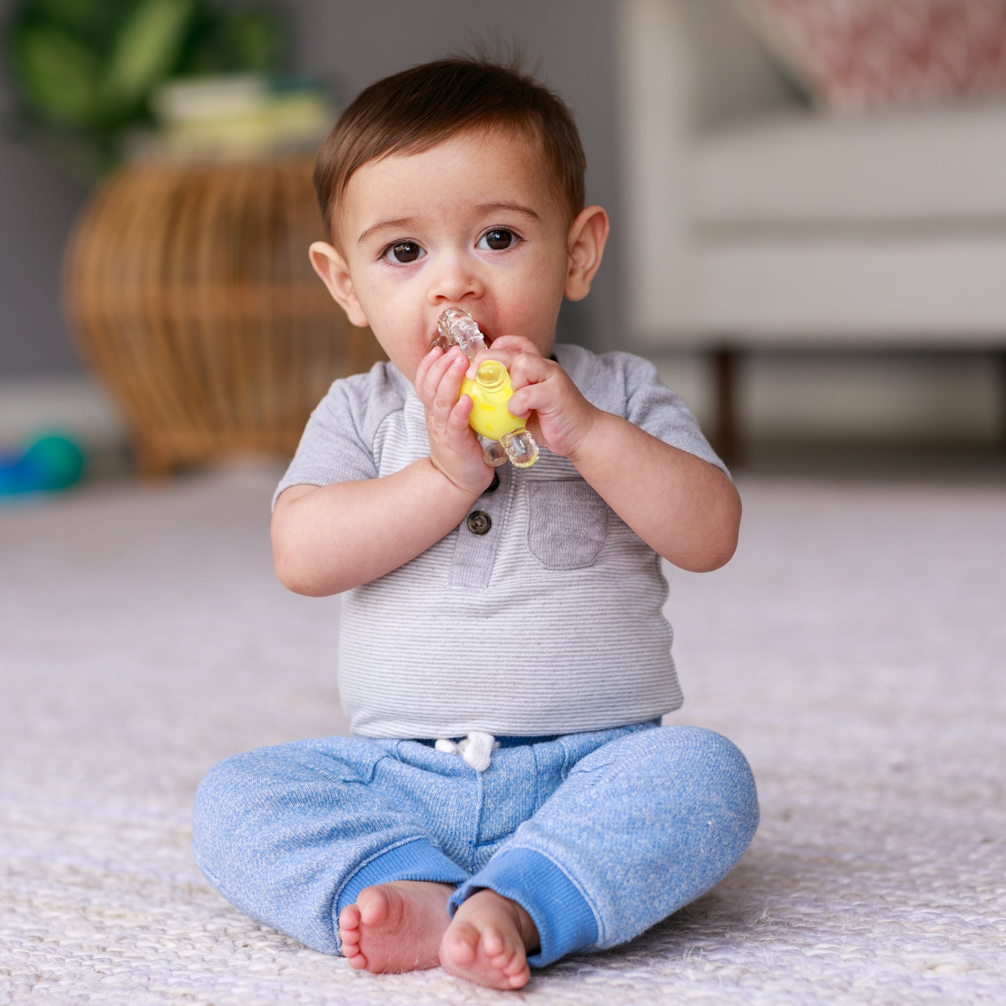 Crystal Clear Peek & See Soft Rattle Teether™ - Monkey – Infantino