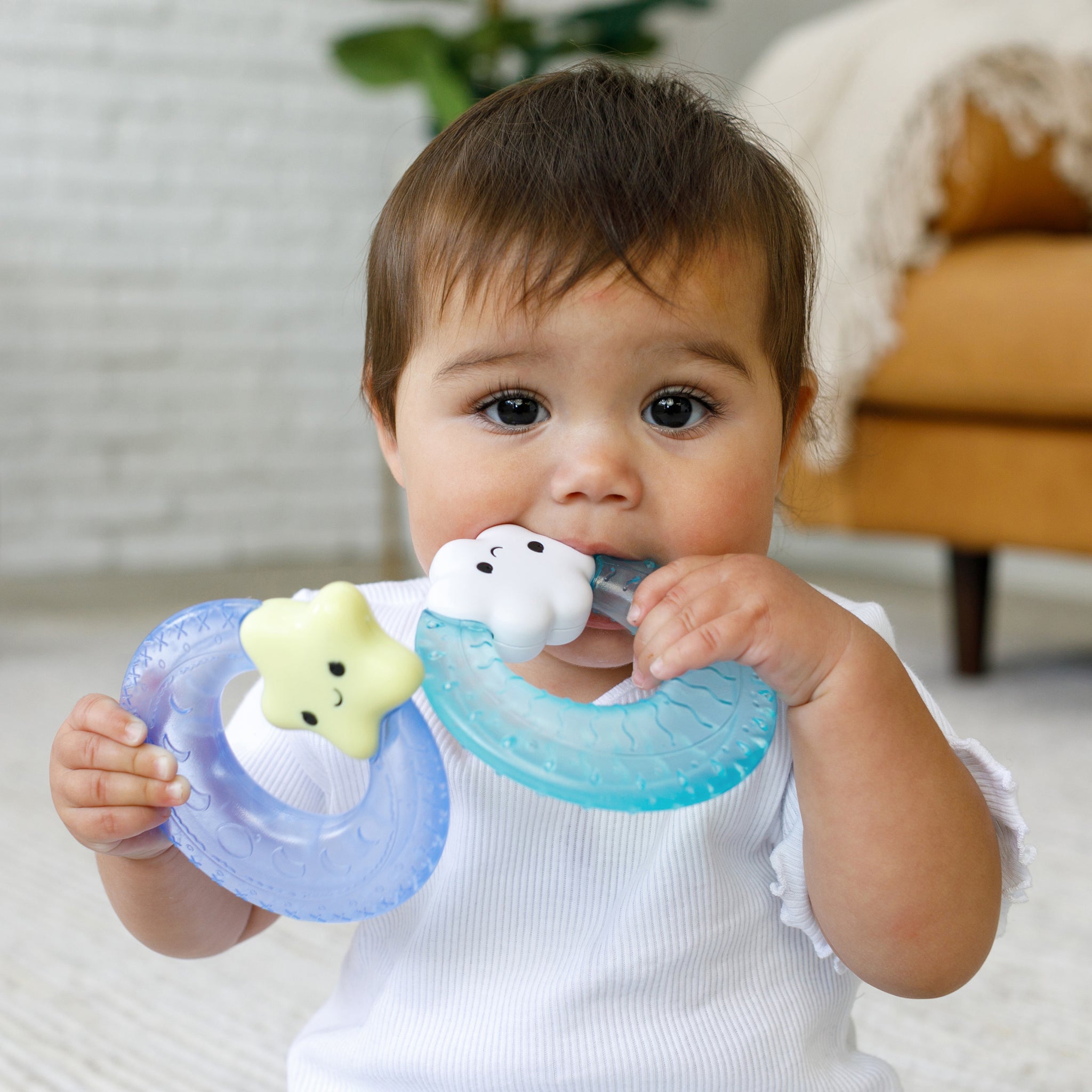 Soothe & Shake Water Teethers – Infantino